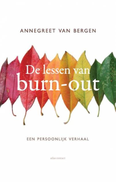 De lessen van Burn-out | Van Bergen | 9789045031668 | Boom