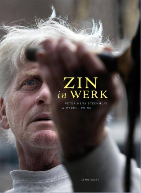 Zin in werk | Steenhuis | 9789047705536 | Boom