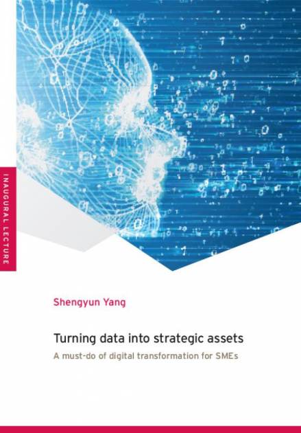 Turning Data into Strategic Assets | | 9789493012134 | Boom